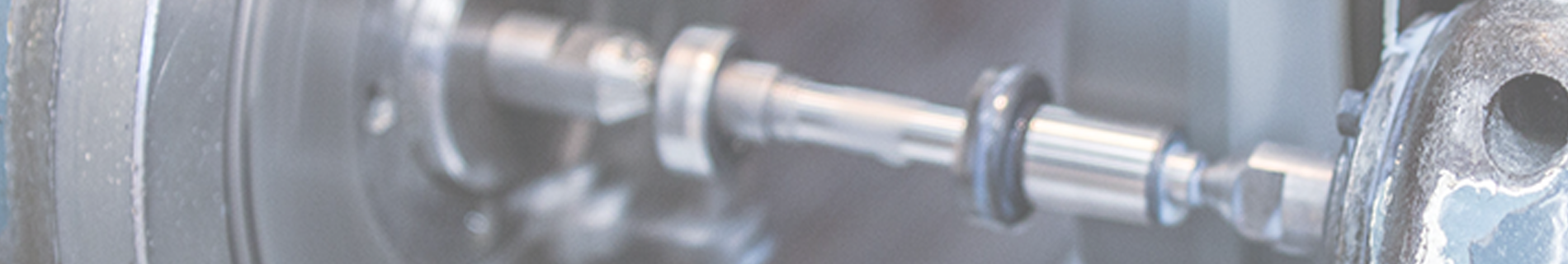 History Of Drill Bushes In The Uk - Boneham | Boneham & Turner