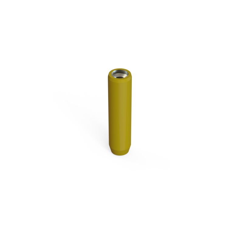 PTFE Coated Tapped Metric Dowel Pins | Boneham & Turner
